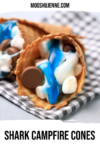 Shark Campfire Cones - Mooshu Jenne